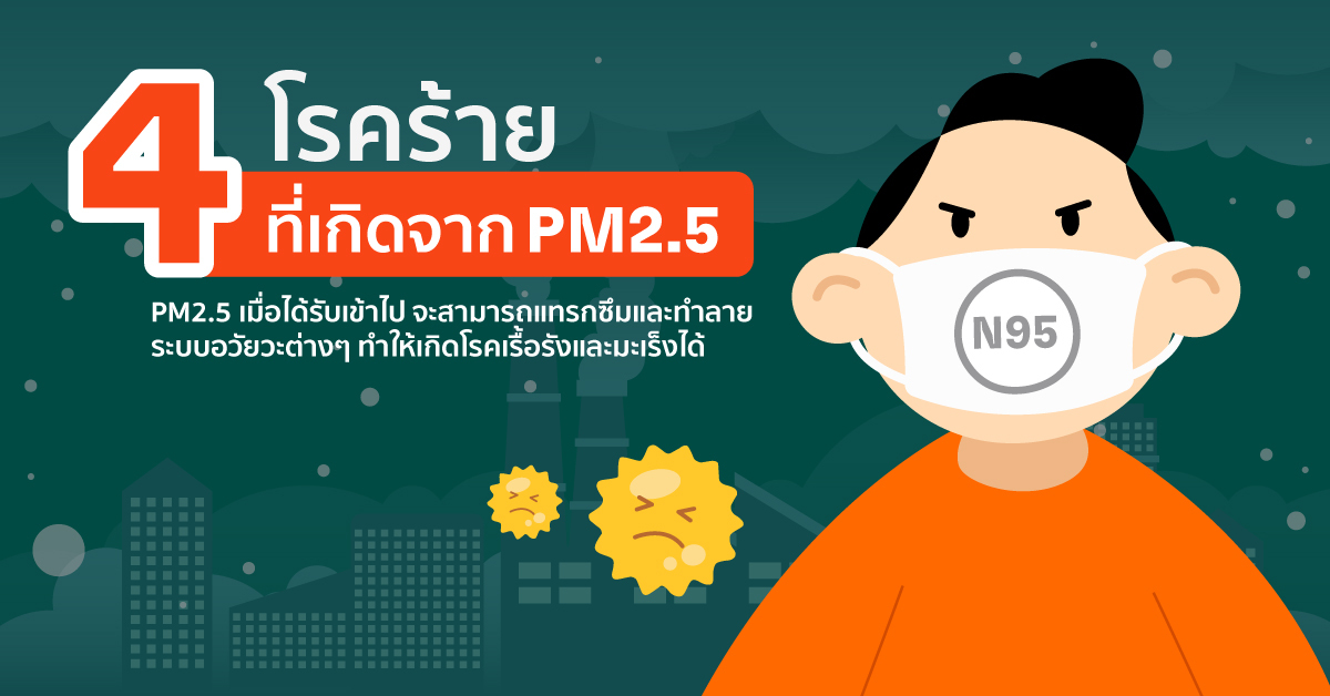 ฝุ่น PM 2.5 เกิดจากอะไร รู้ได้อย่างไรว่าเริ่มแพ้ฝุ่น PM 2.5?