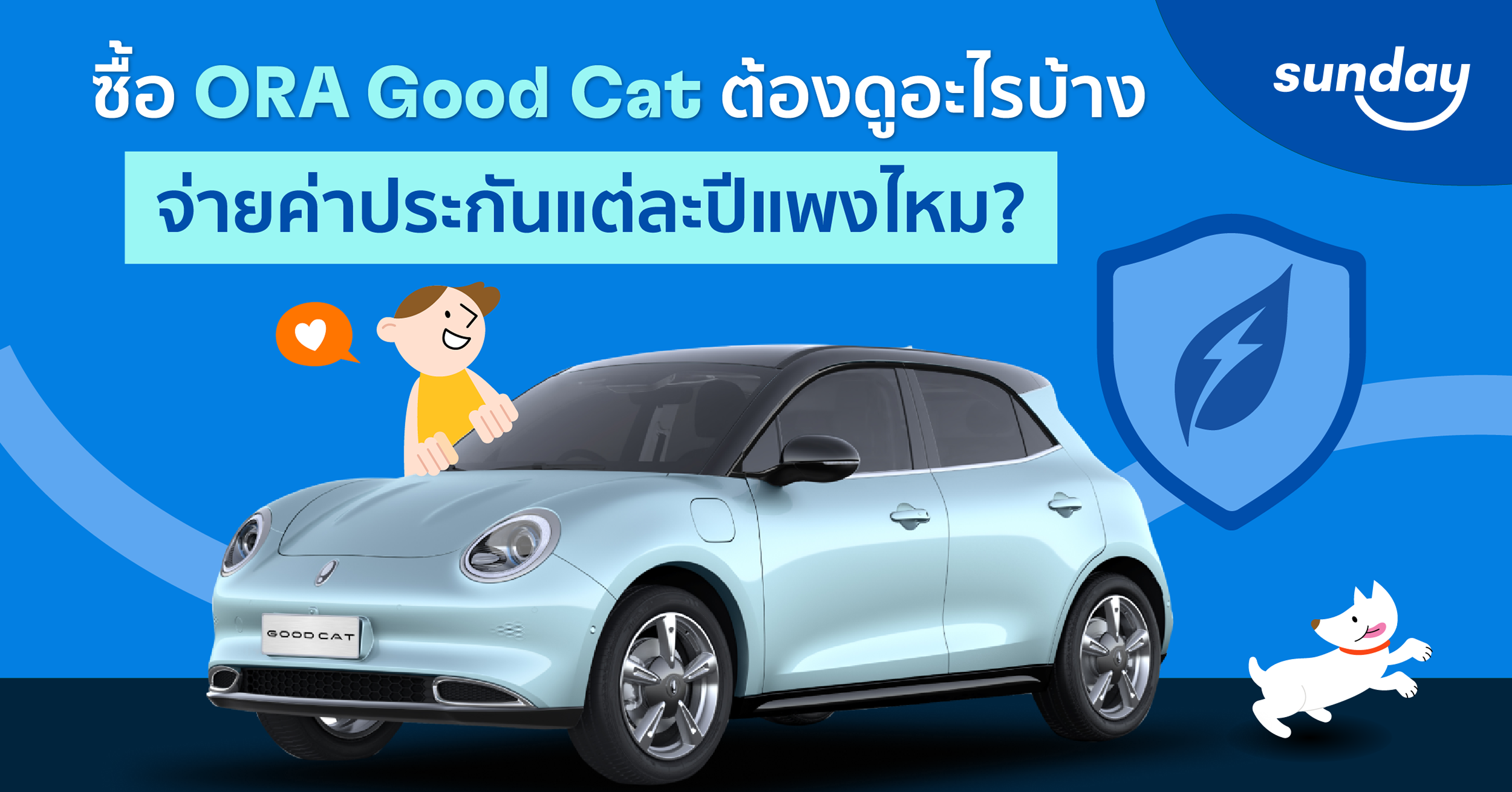 ซื้อ ORA Good Cat ให้ตอบโจทย์ เพียงเข้าใจ 3 เรื่องนี้! - Sunday Blog