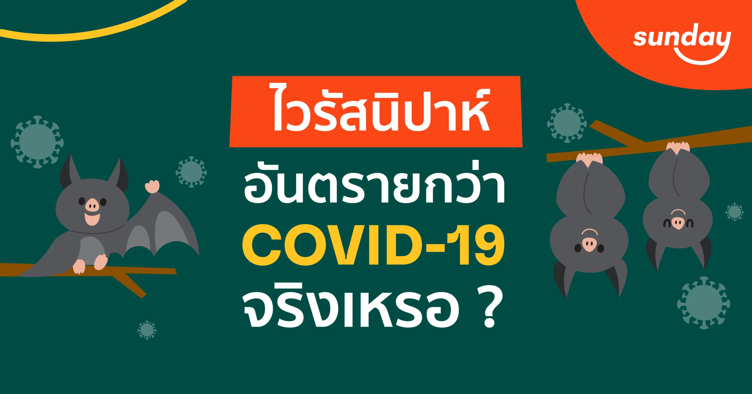 ไวรัสนิปาห์ (Nipha Virus) อันตรายแค่ไหนเมื่อเทียบกับโควิด?